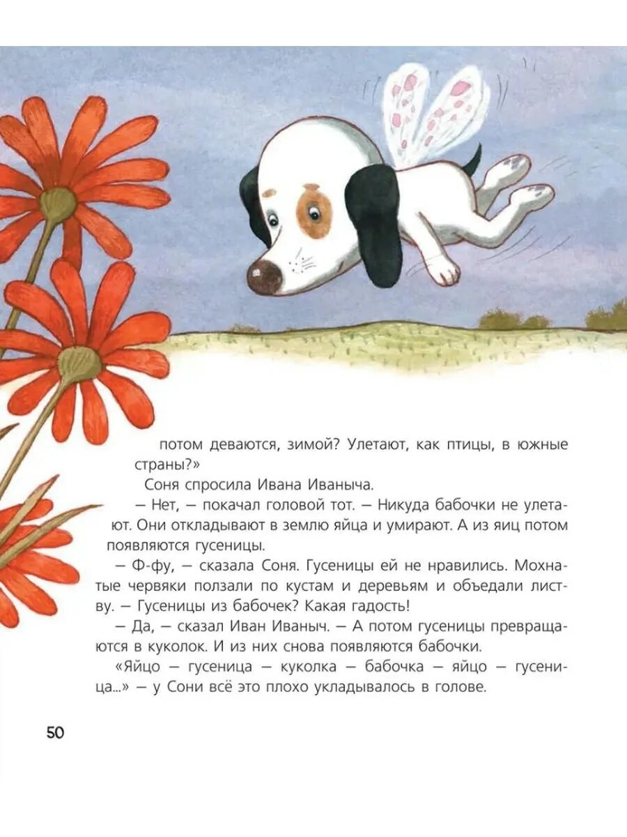 Собачка Соня на даче — фото 1