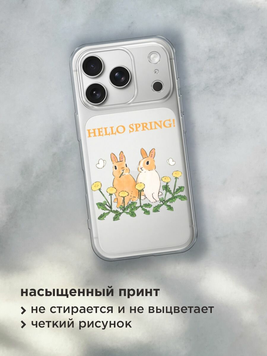 Чехол на Apple iPhone 17 Pro / Айфон 17 Про с принтом "Весенние кролики", прозрачный — фото 1