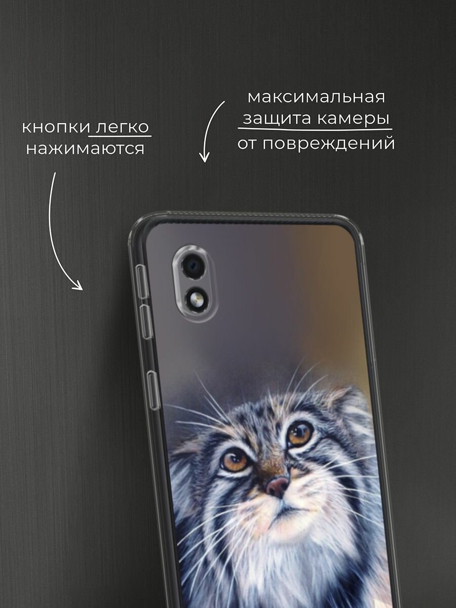 Чехол на Samsung Galaxy A01 Core / Самсунг Галакси А01 Core с принтом "Кот манул 2" — фото 1