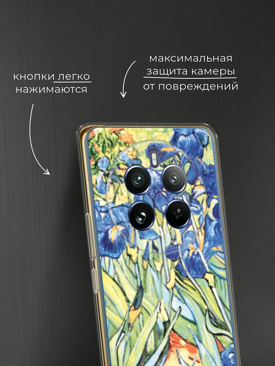Чехол на Realme 12 Pro / Реалми 12 Про с принтом "Ирисы Ван Гог" — фото 1