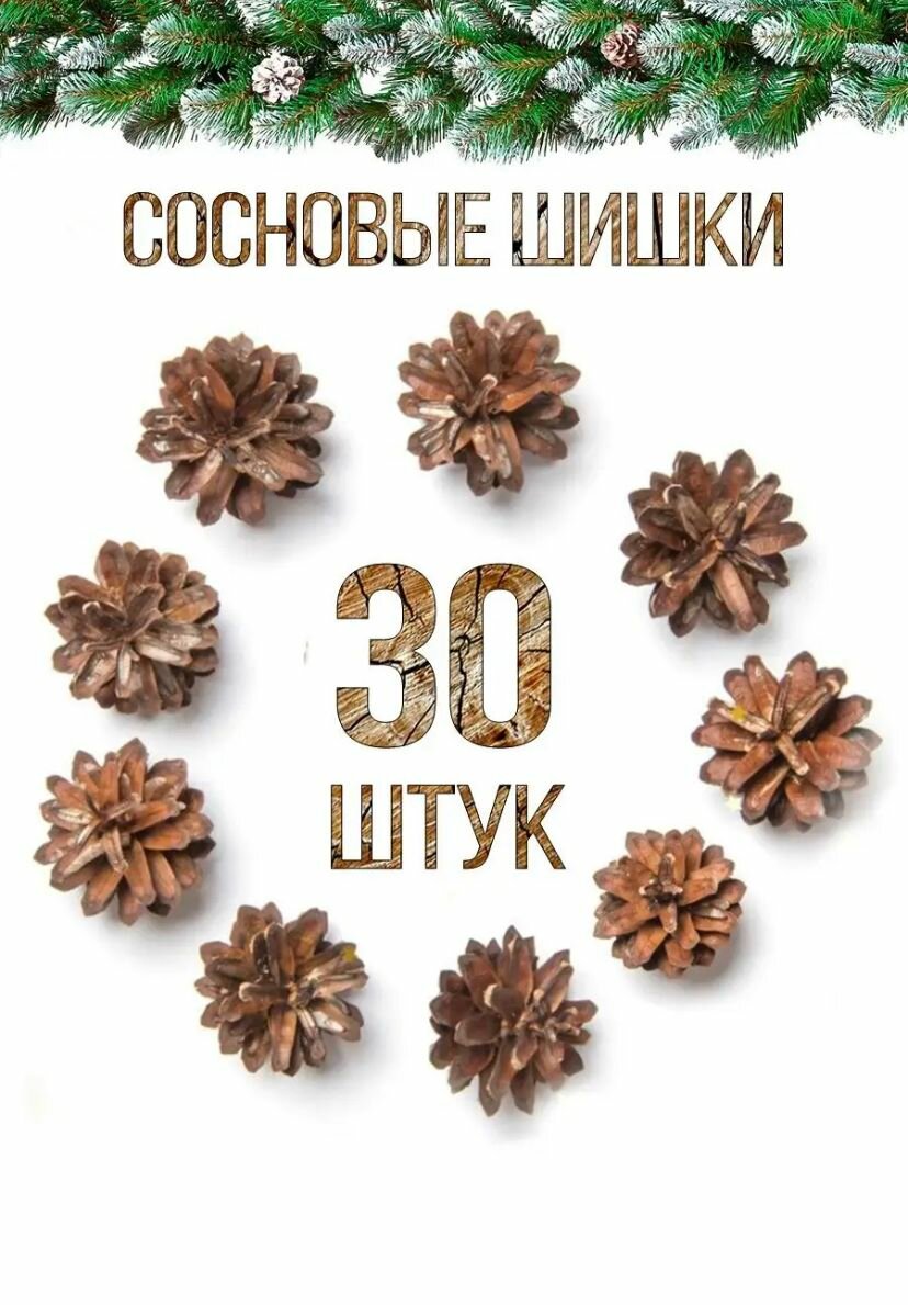 Сосновые шишки набор 30 шт для декора и поделок 3-6 см