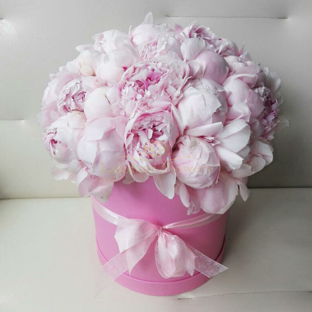 35 пионов / 35 розовых пионов сорта «Сара Бернар в шляпной коробке