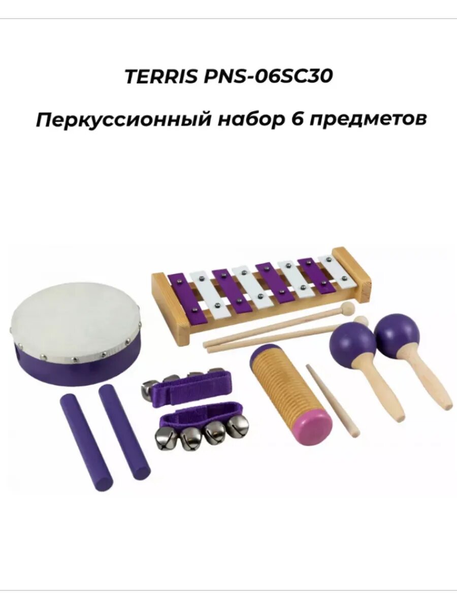 TERRIS PNS-06SC30 - Перкуссионный набор 6 предметов