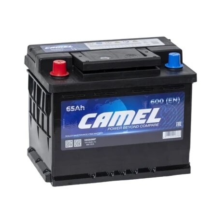 Аккумулятор автомобильный CAMEL 65Ah 600A (56560MF) ПП 242x175x190