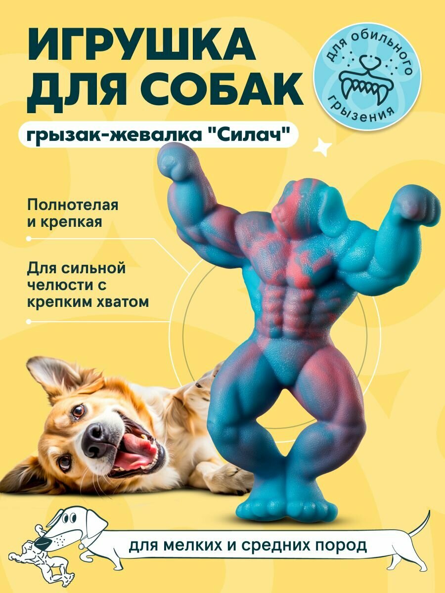 Игрушка для собак PAWSitive / Крепкий жевательный грызунок для мелких и средних пород и щенков / Прочный собачий грызак