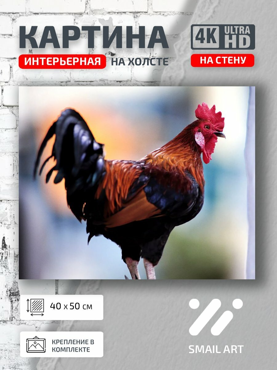 Картина на холсте интерьерная 40 на 50 на стену Петух Mood для гостиной атмосфера интерьер