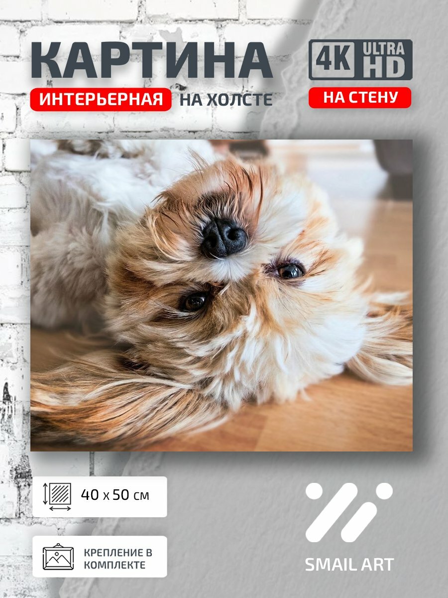 Картина на холсте интерьерная 40 на 50 на стену Мордочка Animal для кабинета animal style