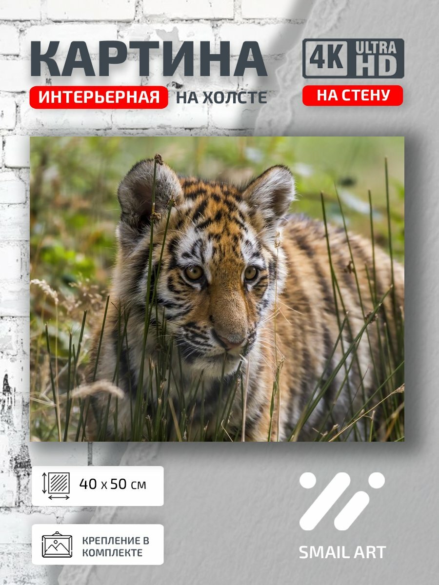 Картина на холсте интерьерная 40 на 50 на стену Мордочка Animal для кафе animal style декор