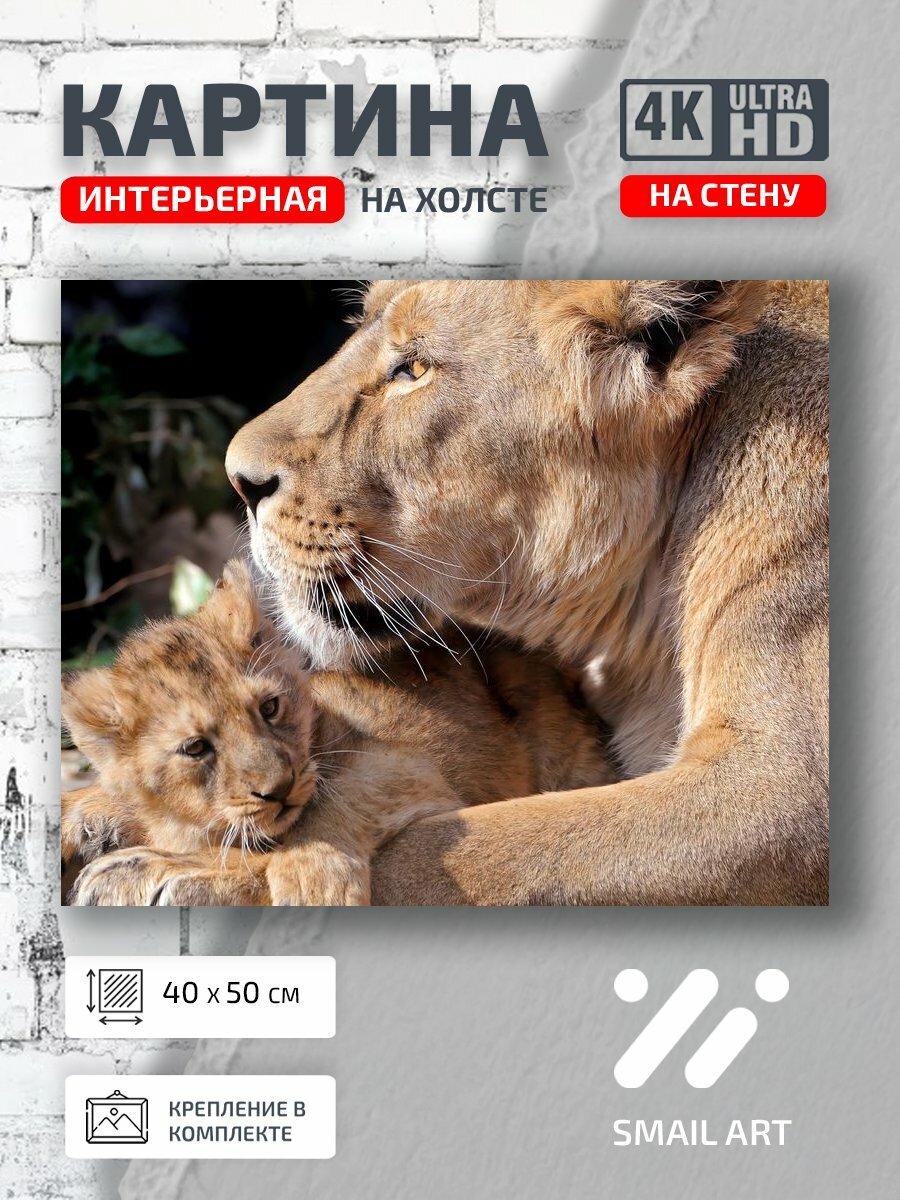 Картина на холсте интерьерная 40 на 50 на стену Львенком Mood для офиса атмосфера интерьер
