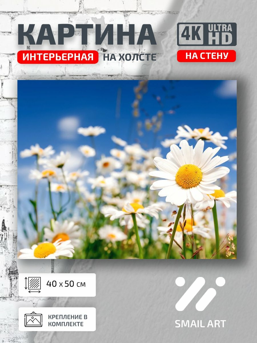 Картина на холсте интерьерная 40 на 50 на стену Поляна Mood для спальни атмосфера интерьер