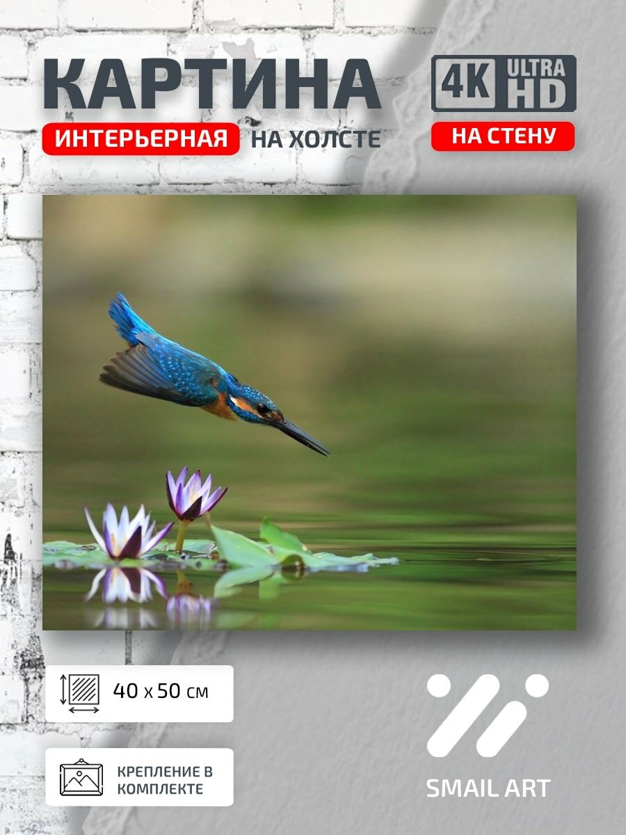 Картина на холсте интерьерная 40 на 50 на стену лилия полет для офиса атмосфера