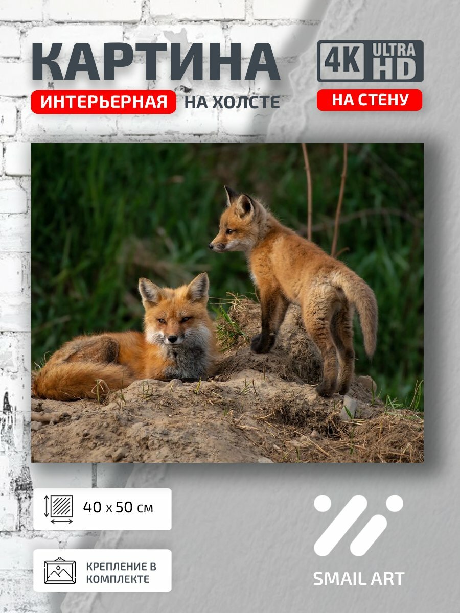 Картина на холсте интерьерная 40 на 50 на стену Лесные Landscape для гостиной пейзаж декор