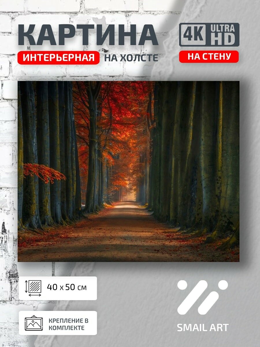Картина на холсте интерьерная 40 на 50 на стену парк осень для спальни пейзаж