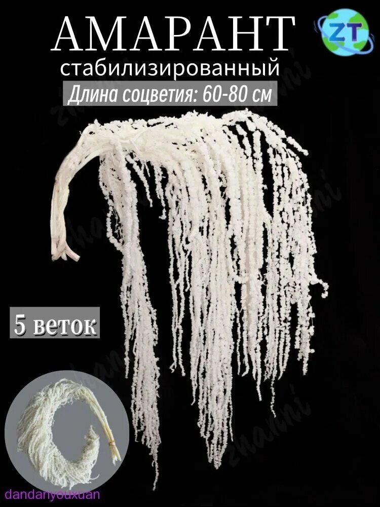 Стабилизированные цветы Амарант, 80 см, 1 шт