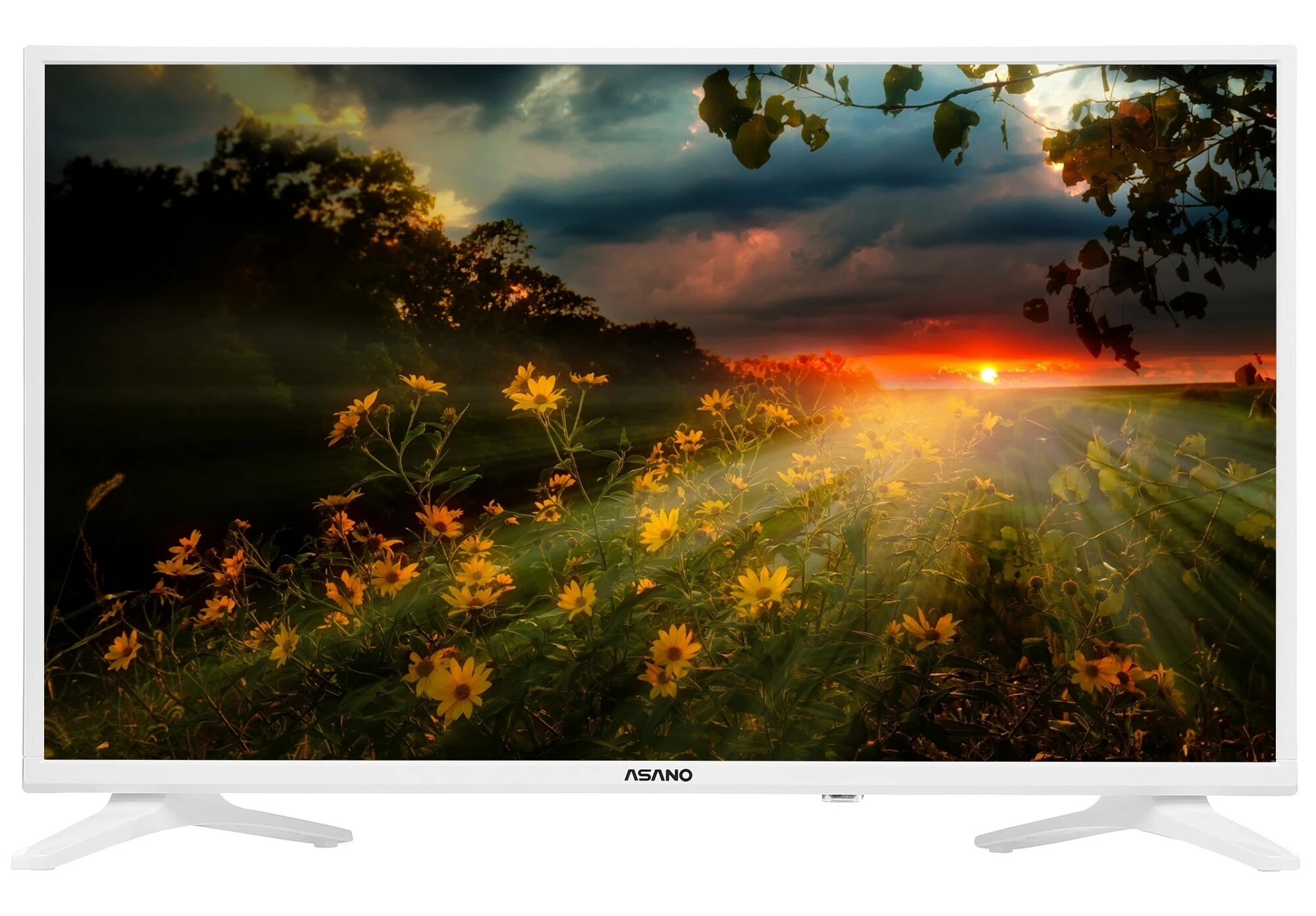 Телевизор LED ASANO 32LH7011T Smart (Android) белый, 1366х768