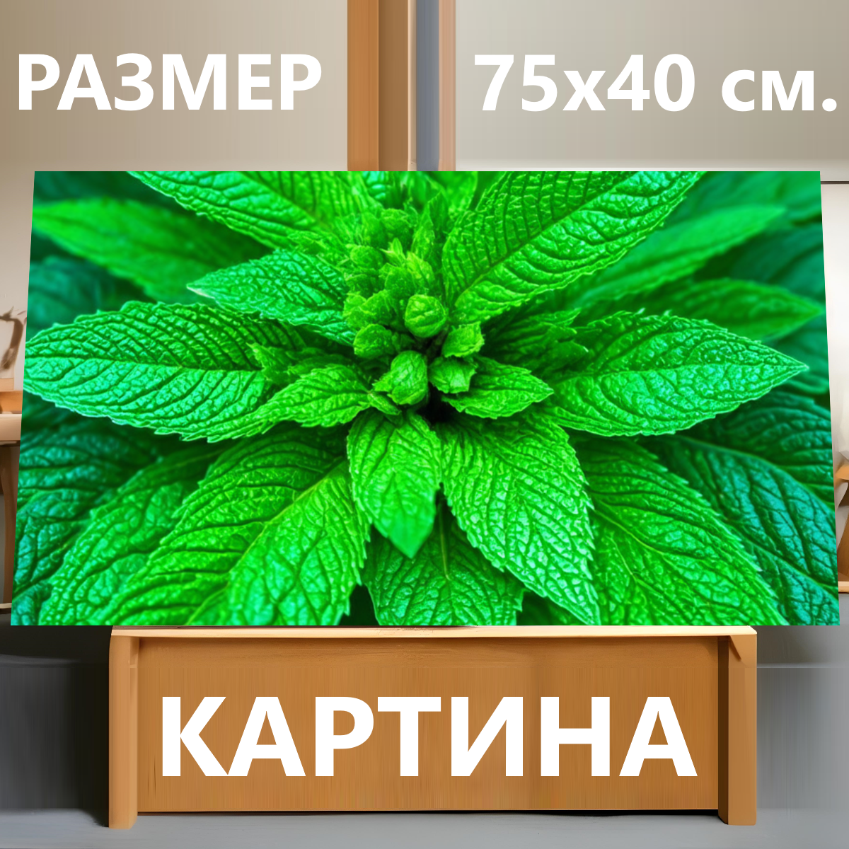 Картина на холсте "7. мятный цвет" на подрамнике 75х40 см. для интерьера