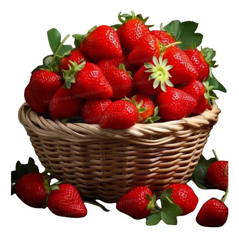 Настенные наклейки фрукты клубника ПВХ 40cm(15.75 inch), S573-B