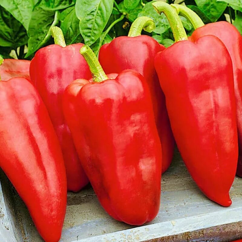 Коллекционные семена перца сладкого Червонный король F1