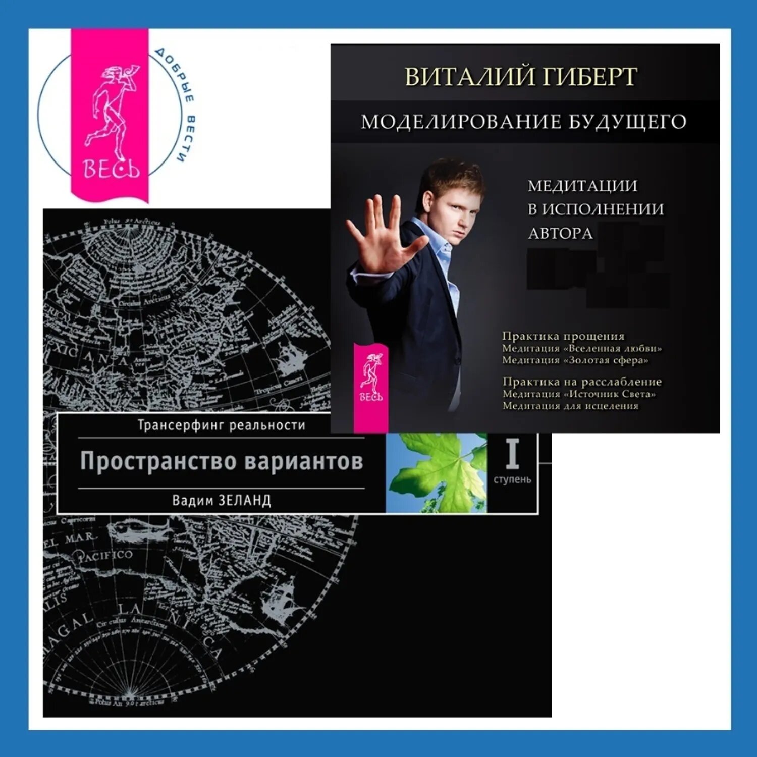 Моделирование будущего. Трансерфинг реальности. Ступень I: Пространство вариантов [Аудиокнига]