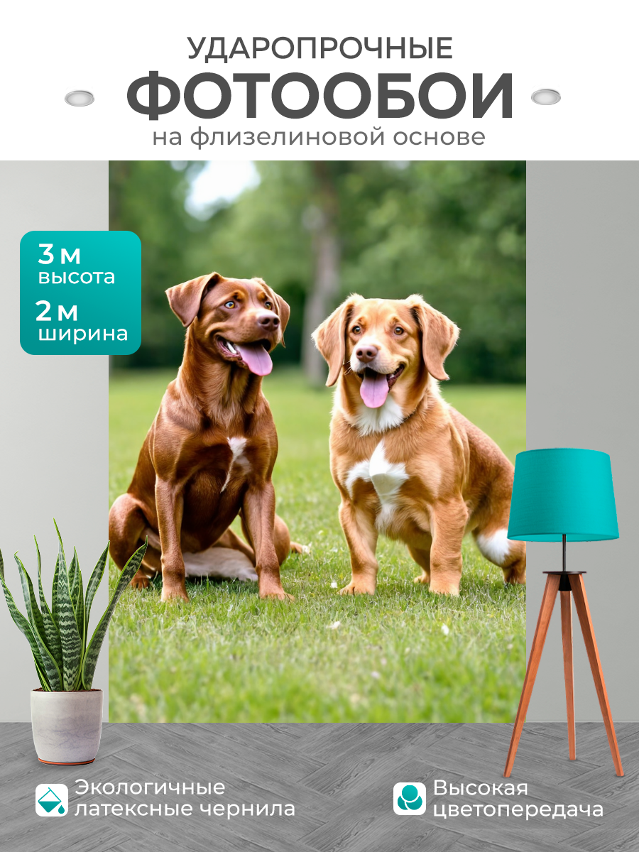 Фотообои моющиеся ударопрочные "Собаки, участвующие в фотографии с природным фоном, показывающие свои лучшие качества" 200x300 см. флизелиновые на стену