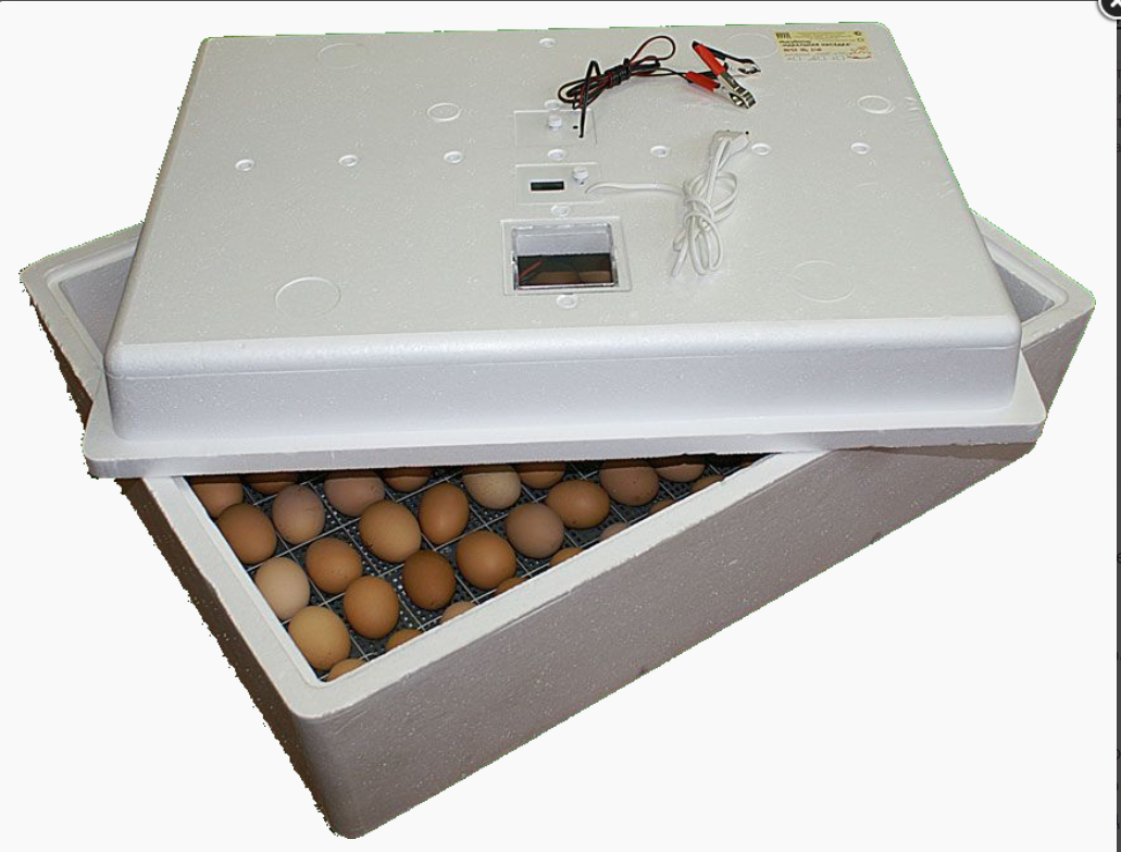 Инкубатор бытовой ИБ2НБ цифр вариант 5 (150 яиц, руч. переворот, 220 В)