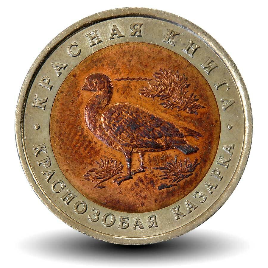 10 рублей 1992 года - Краснозобая казарка - Красная книга - Банк России