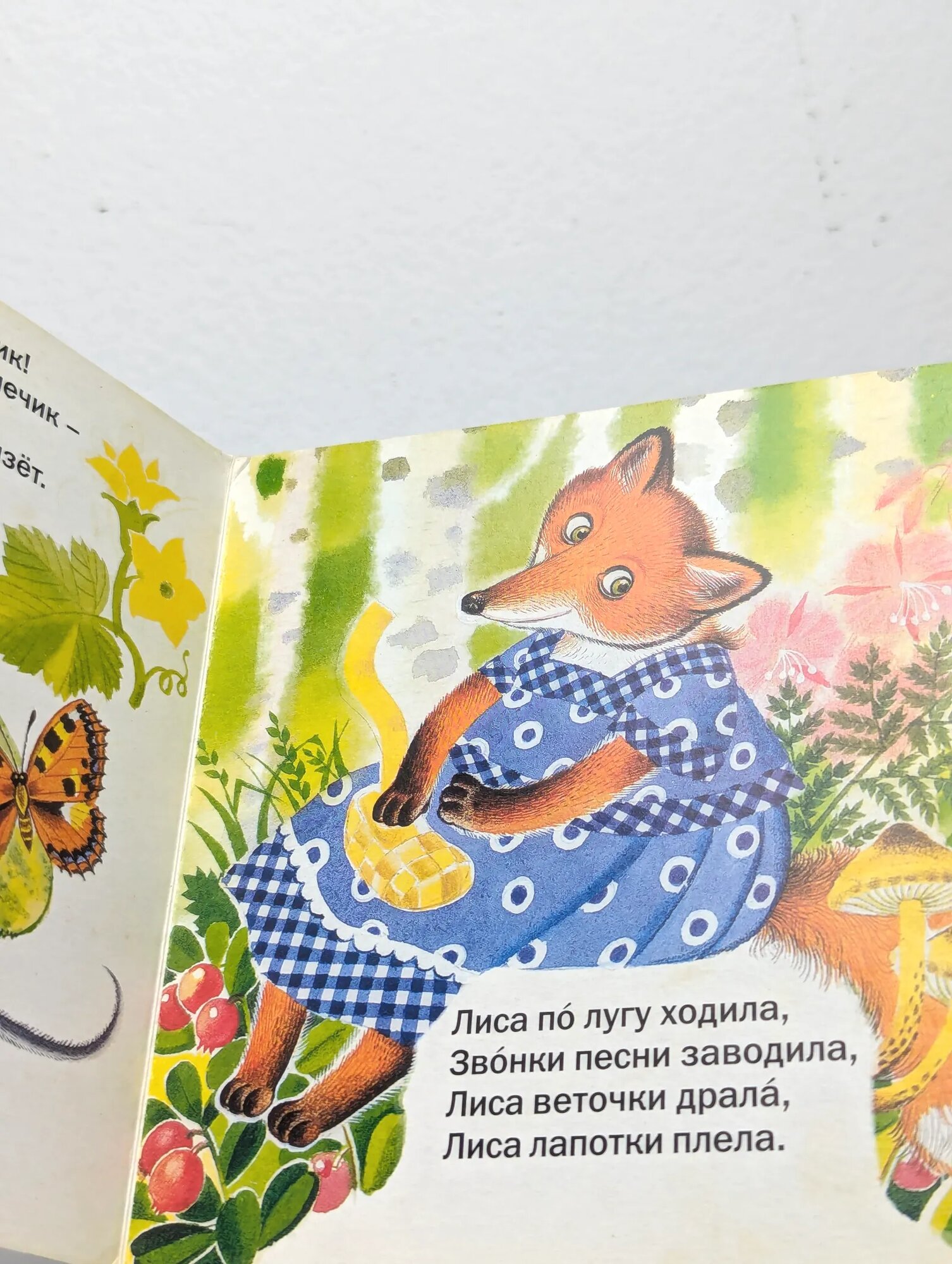 Радуга-дуга 2002 — фото 1
