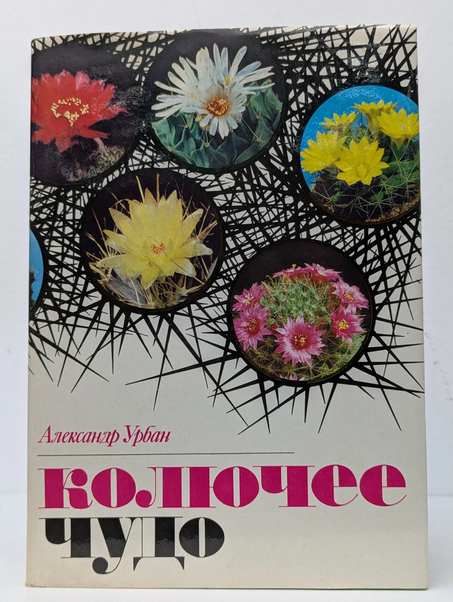 Колючее чудо Урбан Александр 1983