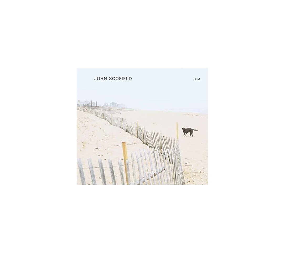 Виниловая пластинка John Scofield - John Scofield (1 LP)