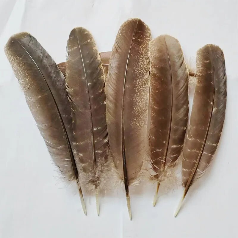 Натуральные перья 10 шт, цвет 22-28cm