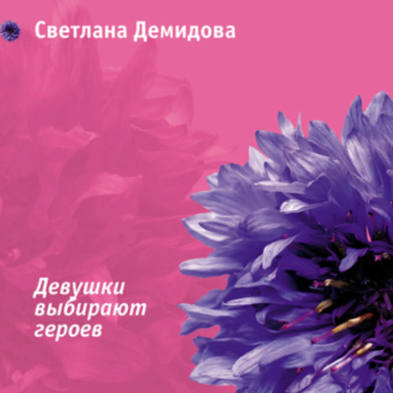 Девушки выбирают героев [Аудиокнига]