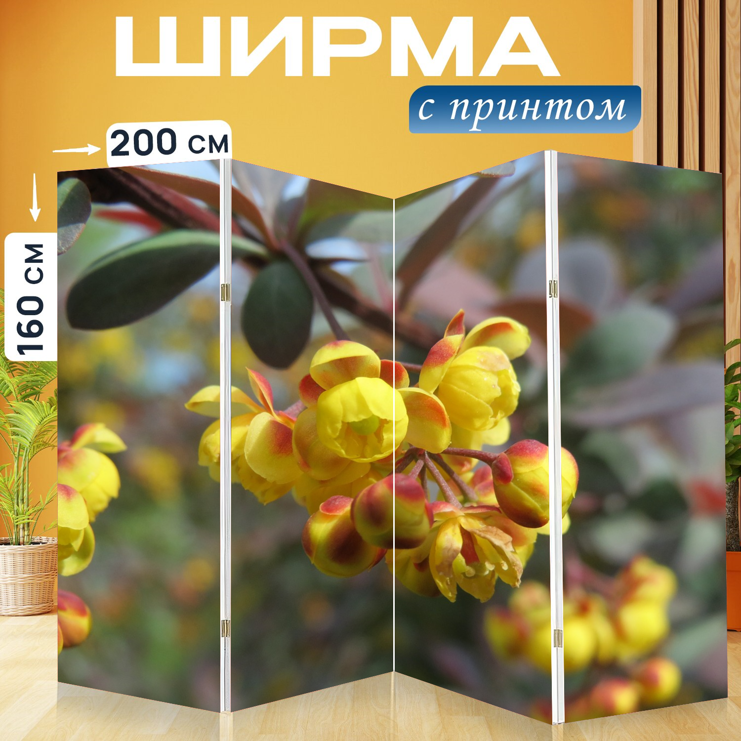 Ширма "Берберис, барбарис, кустарник" перегородка для зонирования комнаты с принтом 200x160 см. на холсте