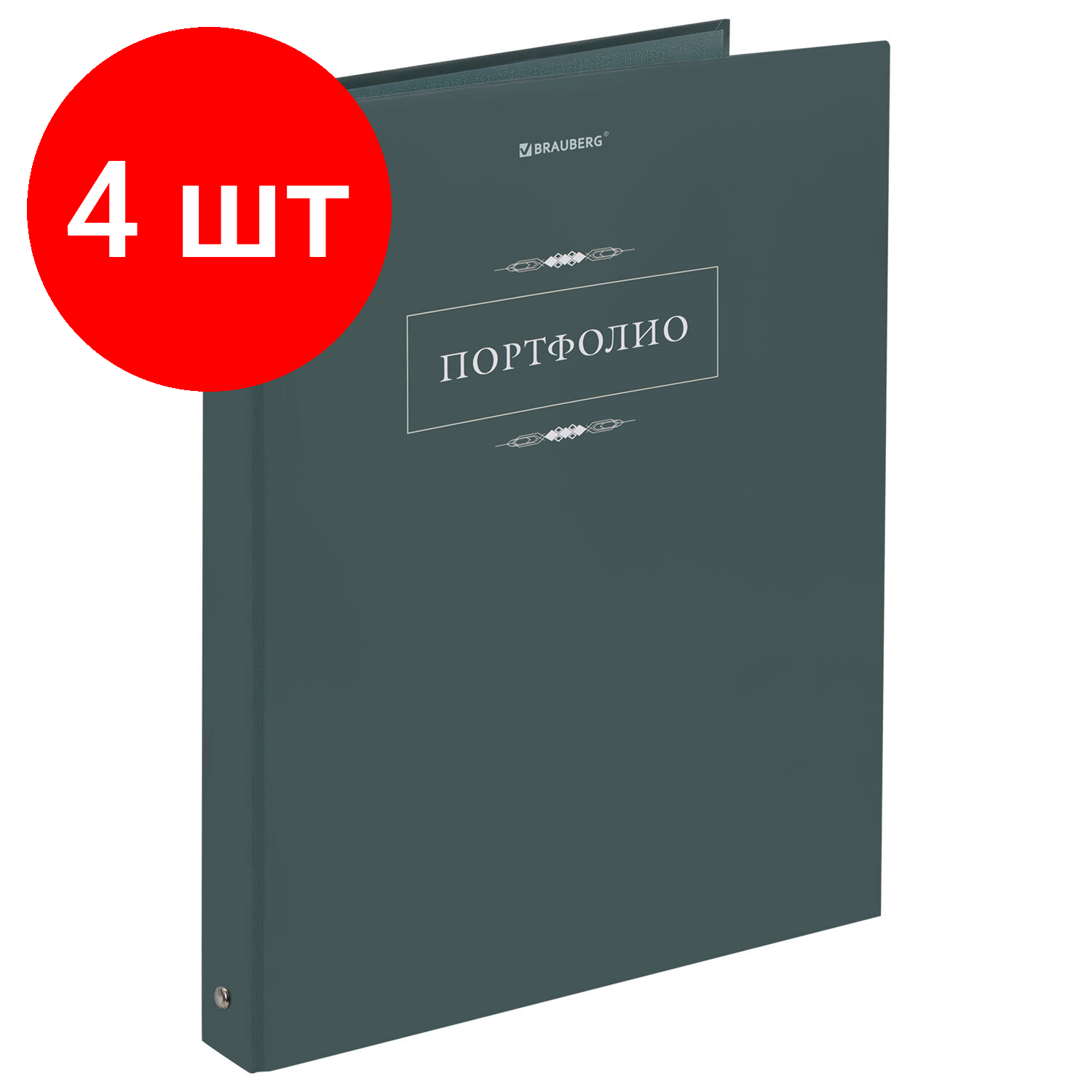 Комплект 4 шт, Папка-портфолио универсальная, 4 кольца, 20 файлов 10 вкладышей, 7БЦ матовая, BRGAUBERG, 117554