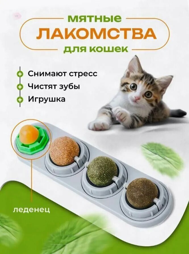 Игрушки для кошек, леденец для кошек, кошачья мята, шарик на стену.