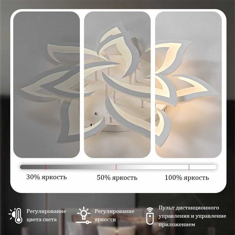 Люстра потолочная — фото 1