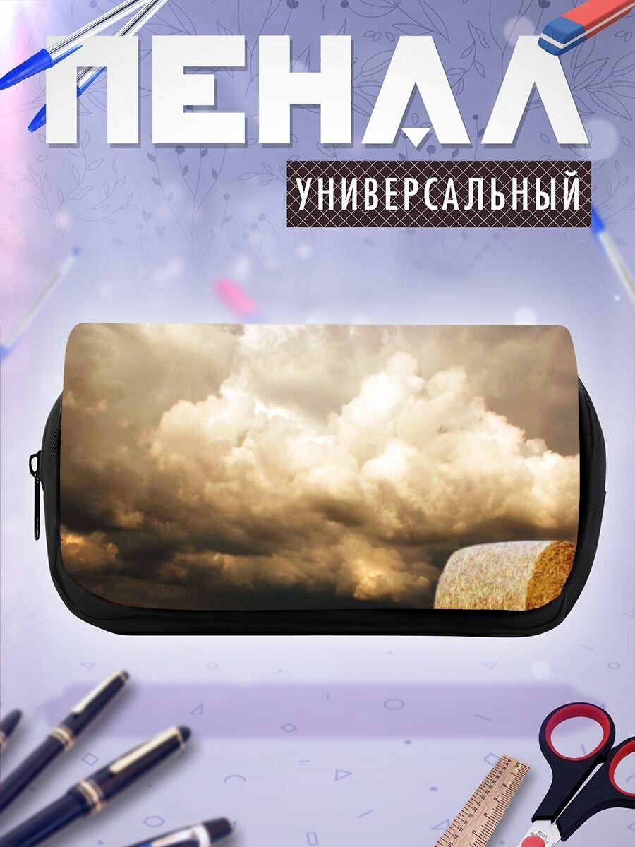 Школьный пенал поле сено