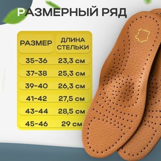 Стельки для обуви — фото 1