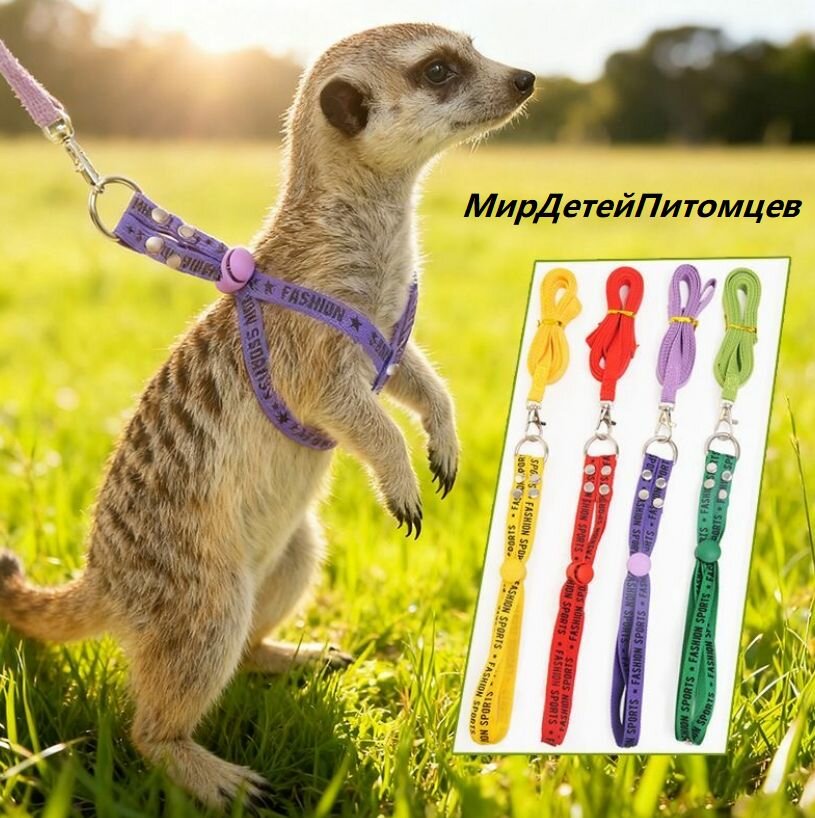 Тяговый трос для суриката и хорька, регулируемый трос для выгула домашних животных