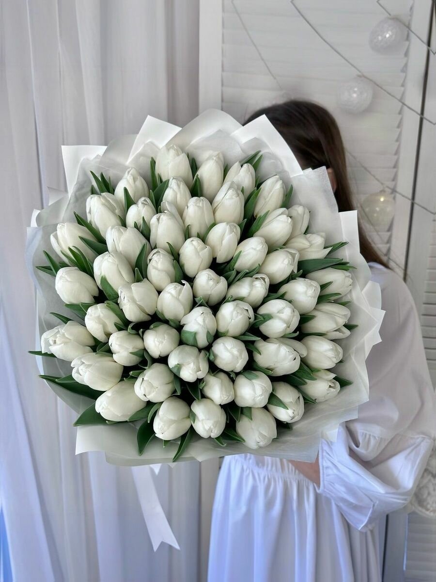 51 белый голландский тюльпан