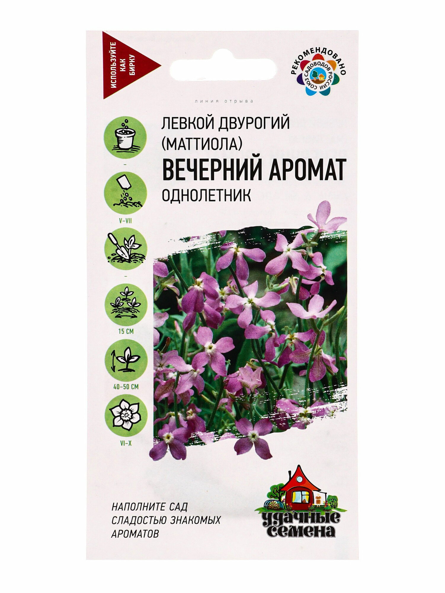 Семена цветов Левкой двурогий, цветение период: август, цвет: фиолетовый, 7 шт.