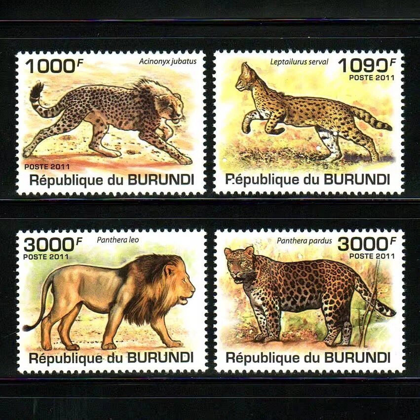 4 шт. Почтовые марки Бурунди 2011 "Дикие кошачьи"