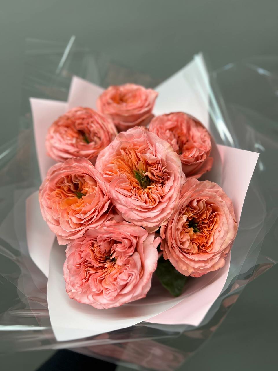 Роза «Мандарин», пионовидна, крупная, необычная, роскошная