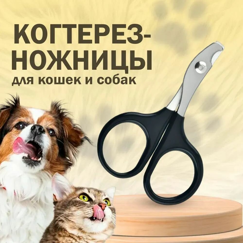 Когтерез ножницы малый прямой для кошек и собак маленьких пород, черный, кусачки для животных, 1 шт