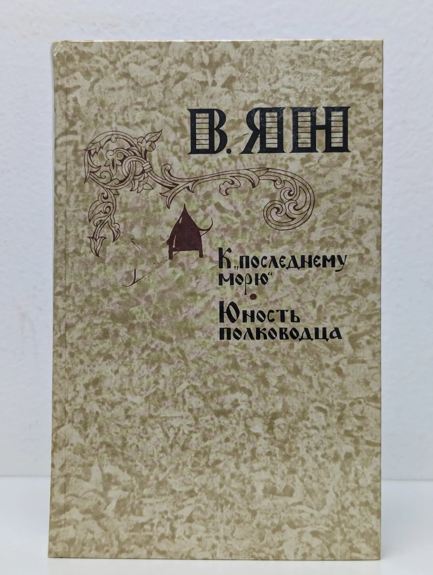 К "последнему морю". Юность полководца Ян Василий Григорьевич 1981