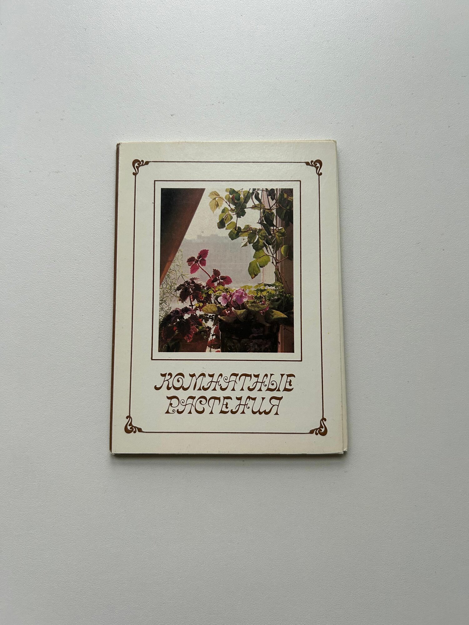 Набор открыток Комнатные растения . Выпуск 2. Полный комплект из 15 открыток. Издание 1986 года
