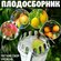 Плодосборникх14