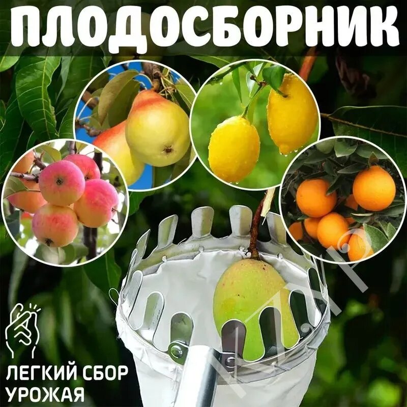 Плодосборникх14