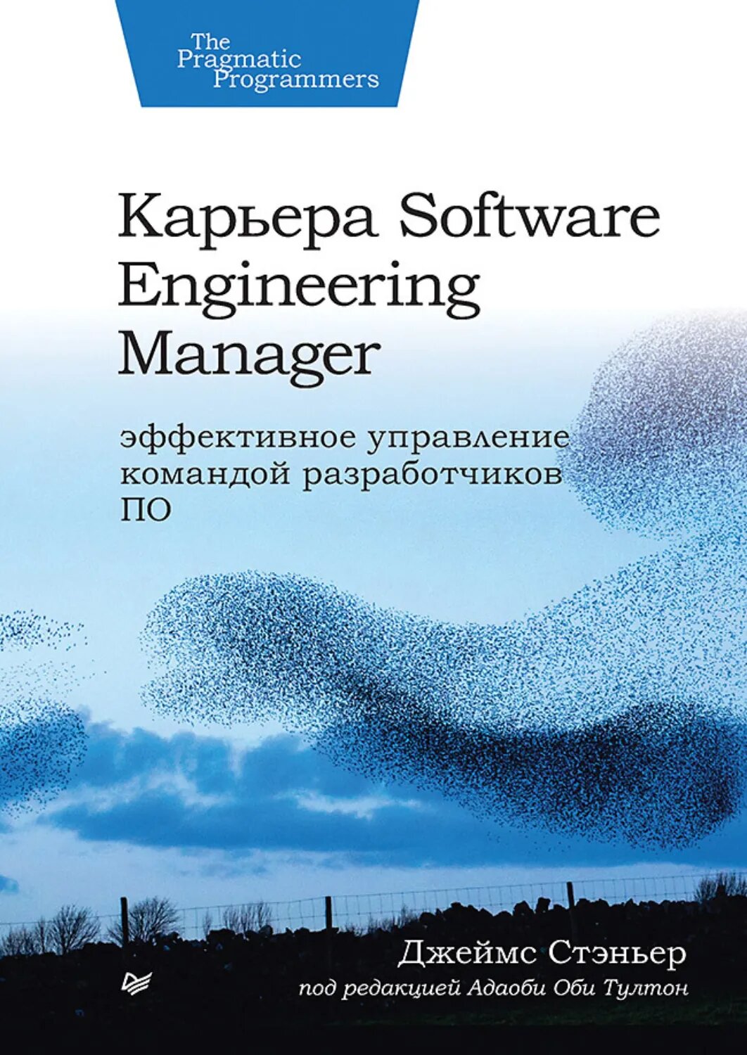 Карьера Software Engineering Manager [Аудиокнига]