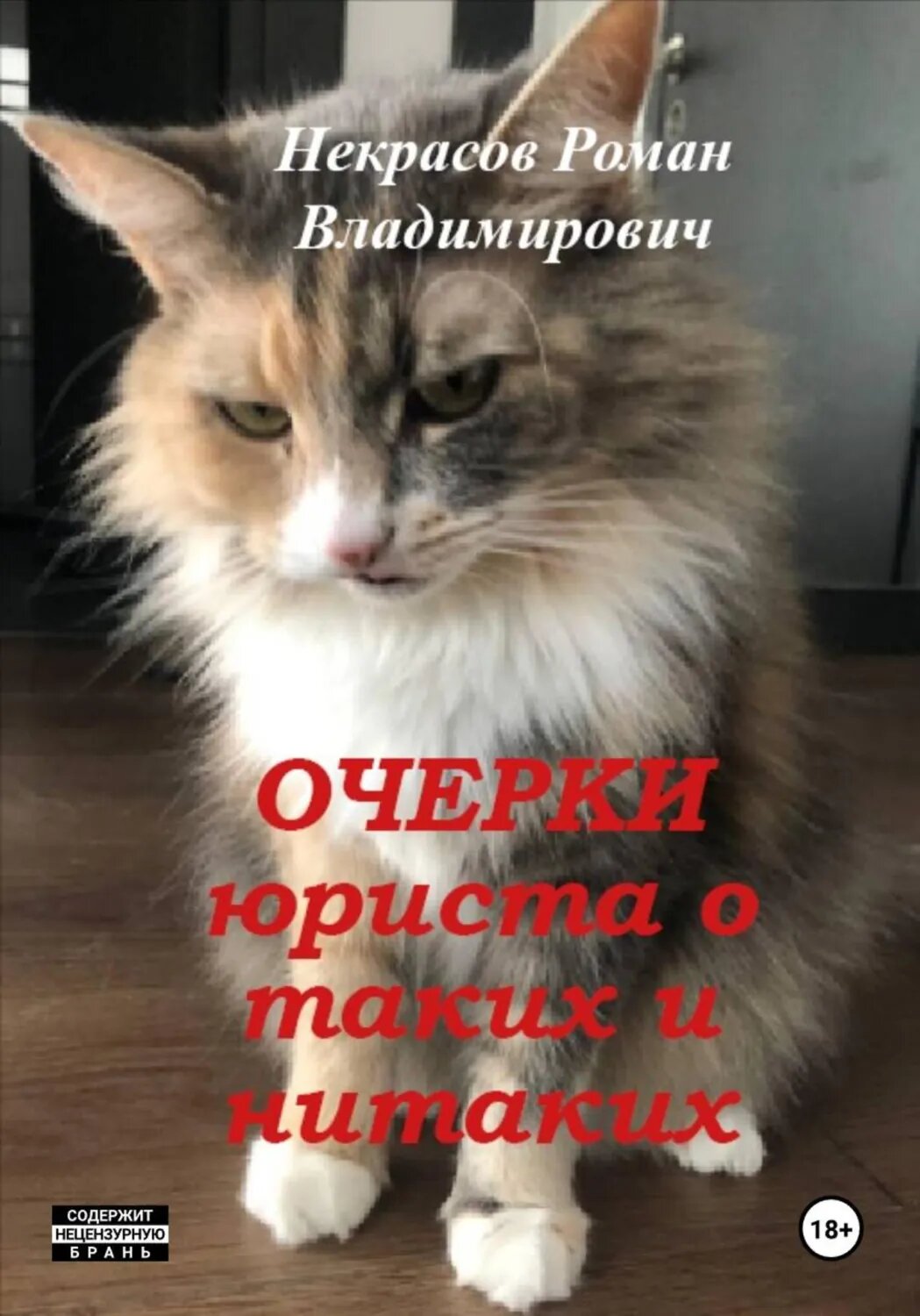 Очерки юриста о таких и нитаких [Цифровая книга]