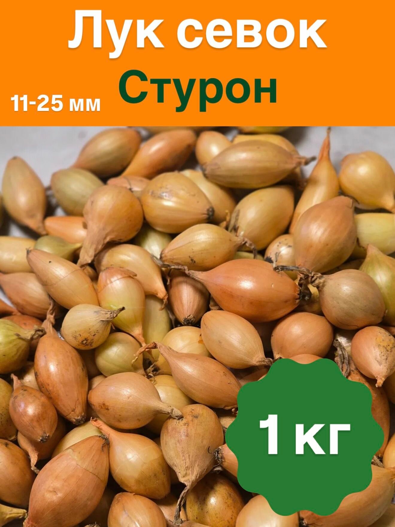 Лук севок Стурон 1 кг, фракция 10-25 мм, Голландия, для посадки на репку и перо